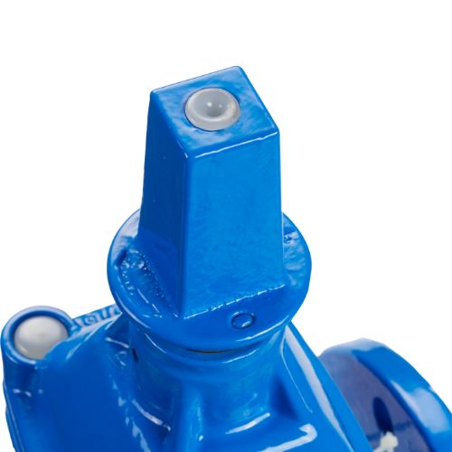 Resilient Seated Top Cap Type Gate Valve 2